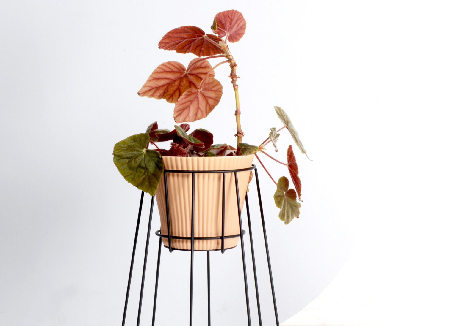 OK Design - Home of Acapulco Furniture