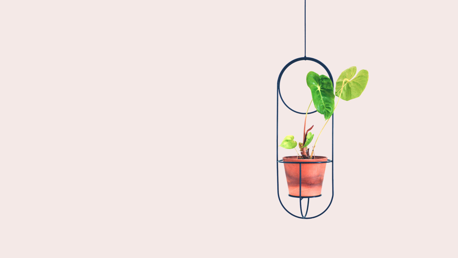 OK Design - Home of Acapulco Furniture